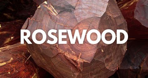 What Is Properties Of Rosewood At Faith Tart Blog