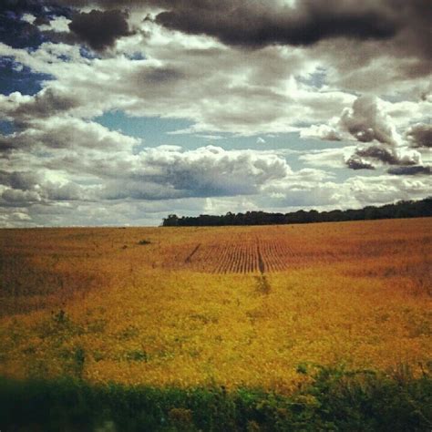 Wisconsin Fields Landscape