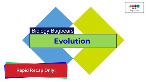 Evolution Leaving Cert Biology 2025 Rapid Recap Biology Bugbears Youtube