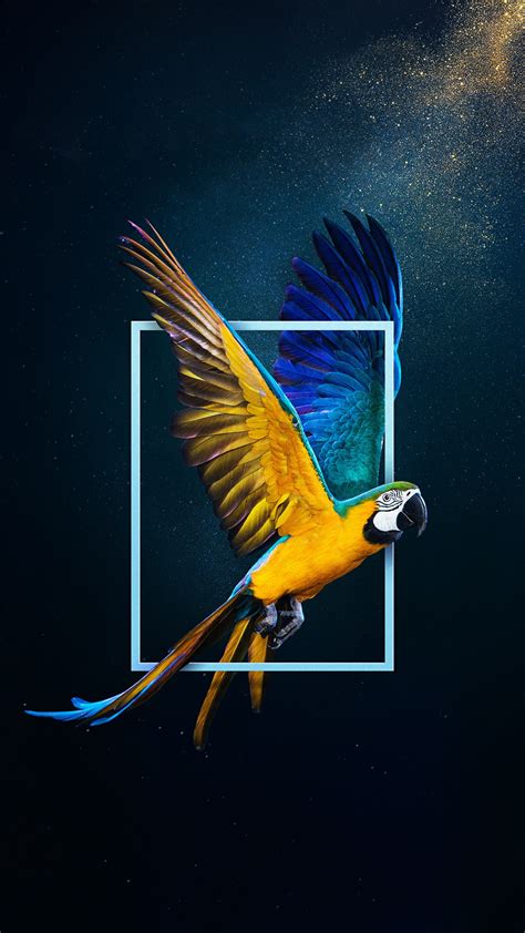 أجمل خلفيات موبايل Hd صور خلفيات هاتف ممتازة