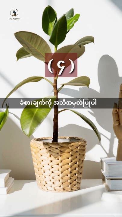 ဘဝအတွက်ခွန်အားဖြစ်စေမယ့်စာတိုပေစများ Motivation Quotes Foryou Youtube