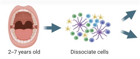 Publications Lareau Lab