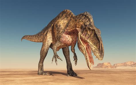 All About The Acrocanthosaurus The High Spined Lizard Gage Beasley