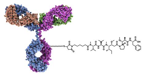 Adc Platform Broadpharm