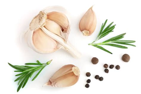 Foods To Increase Libido For Women Std Gov Blog
