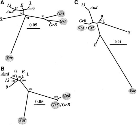 Clustering Neighbor Joining Trees Derived From Regions A I B Ii And