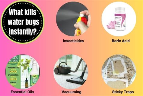 What Kills Water Bugs Instantly The Cockroach Facts