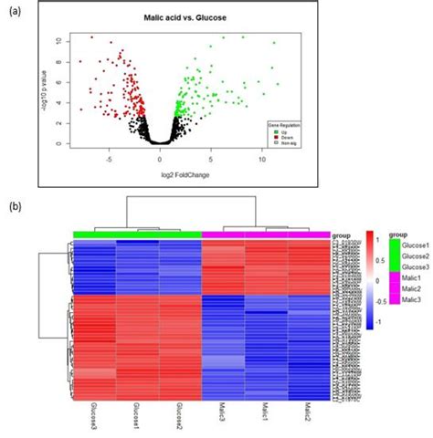Figure From Differential Gene Expression Analysis In Candida Albicans A Comparative Study