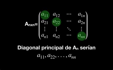 Diagonal Principal De Una Matriz Guía Ejemplos Prácticos 12