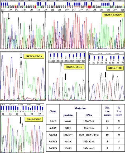 Sequencing Results For Identified Somatic Mutations Electropherograms