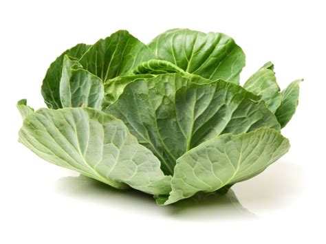 14 Types Of Cabbage Different Varieties Insanely Good