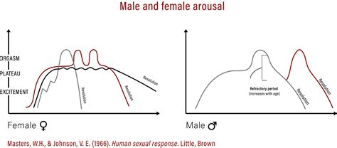 Sexual Response Cycle Explained—how Men Can Use It To Trigger More