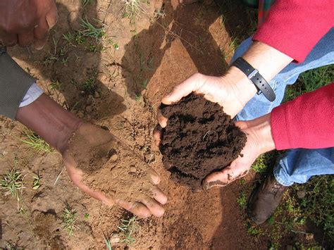 Soil Protein As An Indicator Of Soil Health Research Updates