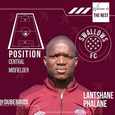 🚨 Swallows Fc Confirms The Signing Of Football News 24 7