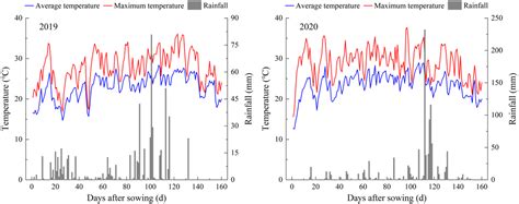 Frontiers Optimizing Rice Yield Quality And Nutrient Use Efficiency Through Combined