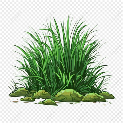 Picture Of Grass Vectorgrass Picturespicturessticker Png Hd