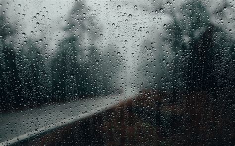 Download Photography Raindrops Hd Wallpaper 2560x1600 Wallpaper Abyss