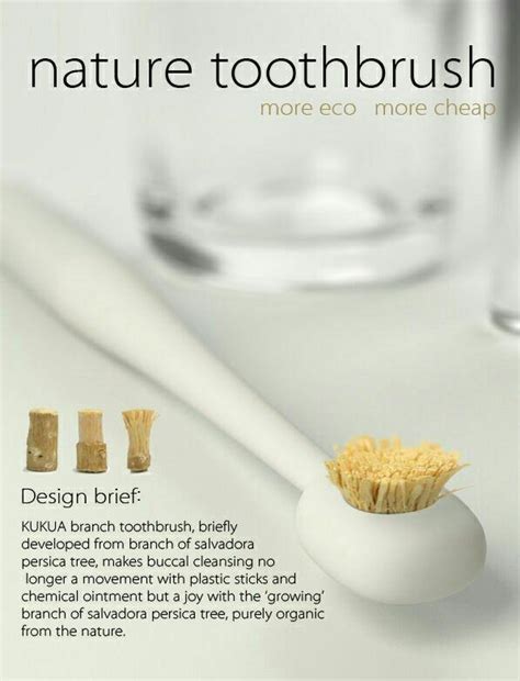 چوب مسواک اراک جایگزین مسواک‌های معمولی در کشورهای اروپایی جزئیات