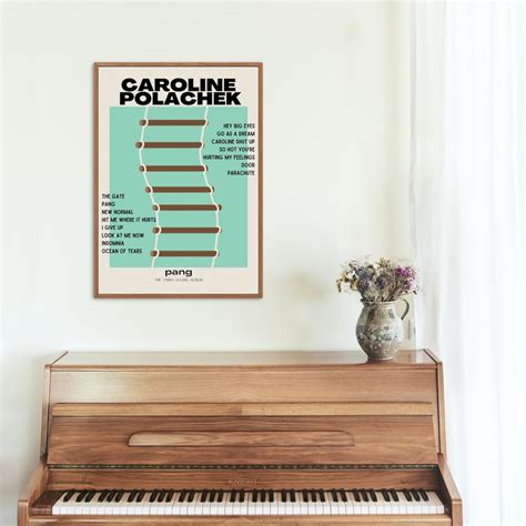 Vintage Caroline Polachek Pang Album Poster Caroline Polachek Pang