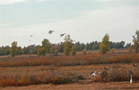 Pictures Of Llano Seco Unit