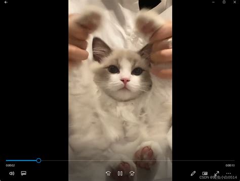 Python Crawlers Crawl Videos From Major Popular Short Video Platforms