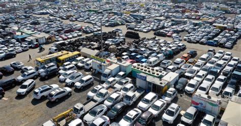 K중고차 월 수출 1조 중동 바이어가 경매장 몰려온다”