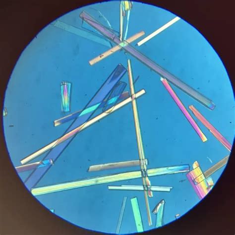 Antique Microscope Slide Showing Zeolite From Giants Causeway By