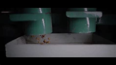 Automatic Groundnut Processing Plant Three Phase 4 Tonhour At