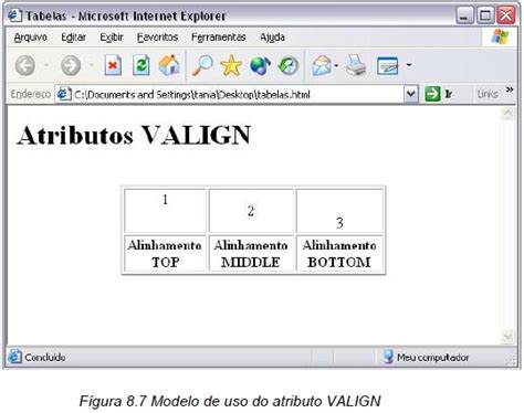 Curso De HTML Criando Tabelas Para Seu Blog Processo Blogs