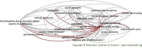 Central Nervous System Origin Vertigo Disease Malacards Research