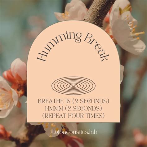 Bioacoustics Lab Bioacousticslab • Instagram Photos And Videos