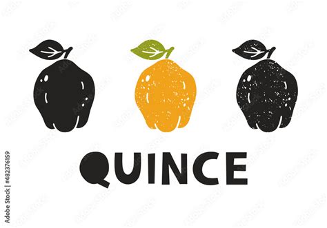 Quince Silhouette Icons Set With Lettering Imitation Of Stamp Print