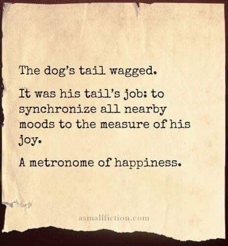 As A Leader In Your Organization Be The Wagging Tail Kate Czarnecki Mba Cude
