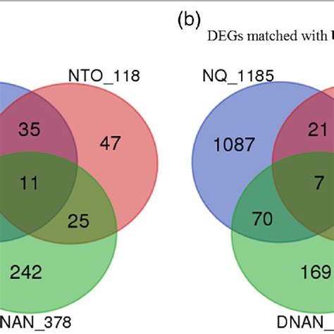 The 2d Structures Of Three Imx 101 Constituents Download Scientific Diagram