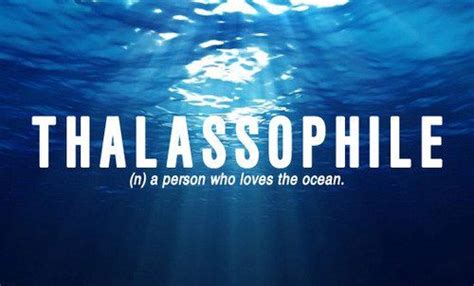 Thalassophile Lover Of The Ocean Cool Words Rare Words Ocean Quotes