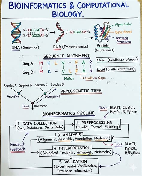 Bioinformatics And Computational Biology