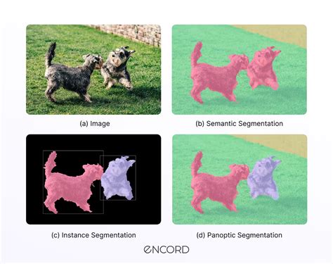 The Artificial Intelligence Journey — Image Segmentation By Shlomi
