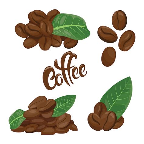 무료로 다운로드 가능한 원두 벡터 And 일러스트 Freepik