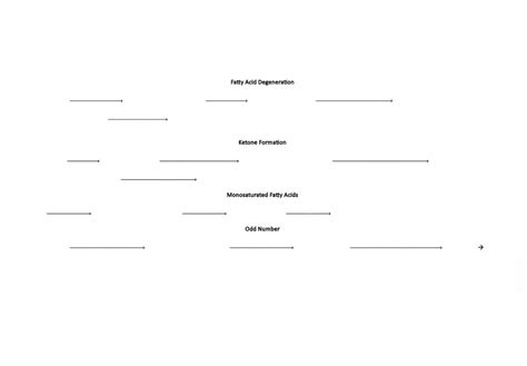 Pathways Diagram Quizlet