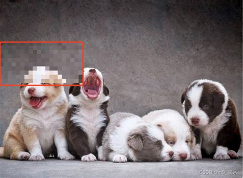 Opencv中的马赛克效果利用opencv对图片局部进行马赛克 Csdn博客