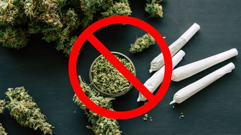 Marihuana La Verdad De Una Droga Peligrosa Remar