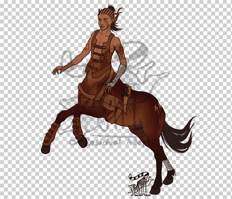 Centaur Hunter Closed иллюстрация Centeur Png Klipartz