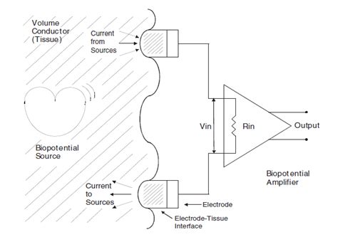 5 Differential Amplifier Technique Download Scientific Diagram