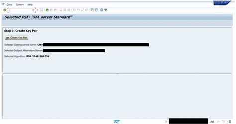How To Update Abap Certificate Using Replacement W Sap Community