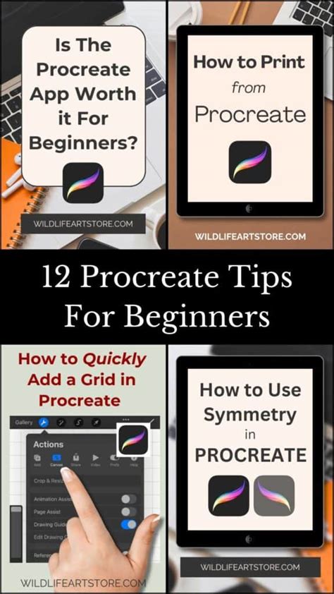 12 Procreate Tips For Beginners The Basics