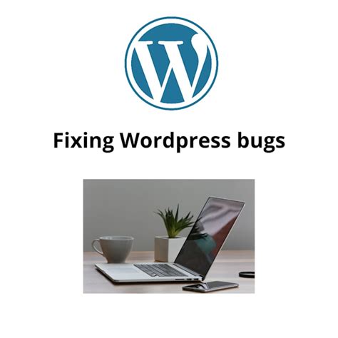 Fix Wordpress Issues Bugs Or Errors By Alesster Fiverr