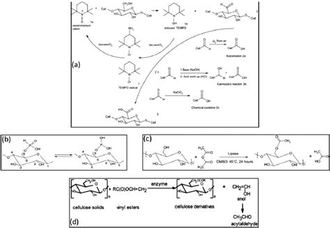 Systematic Representation Of Cnf Q3 Download Scientific Diagram