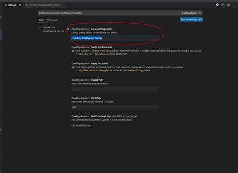 Cant Figure Out How To Set Up Debugger · Issue 61 · Numaruvscode