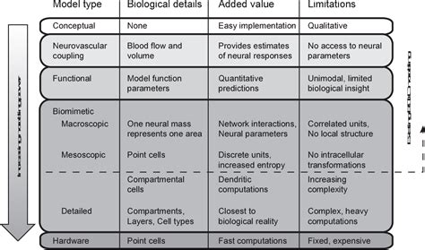 figure 2 from modeling fmri signals can provide insights into neural