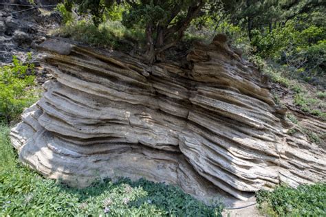 버섯바위 울릉도 독도 국가지질공원 관광 정보와 주변 관광 명소 및 근처 맛집 여행 정보